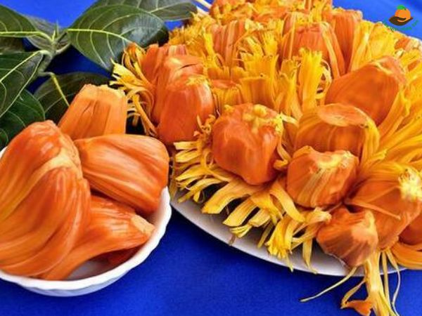 Giá mít ruột đỏ bao nhiêu 1kg? Giá trị dinh dưỡng mít ruột đỏ | Bản Tin ...